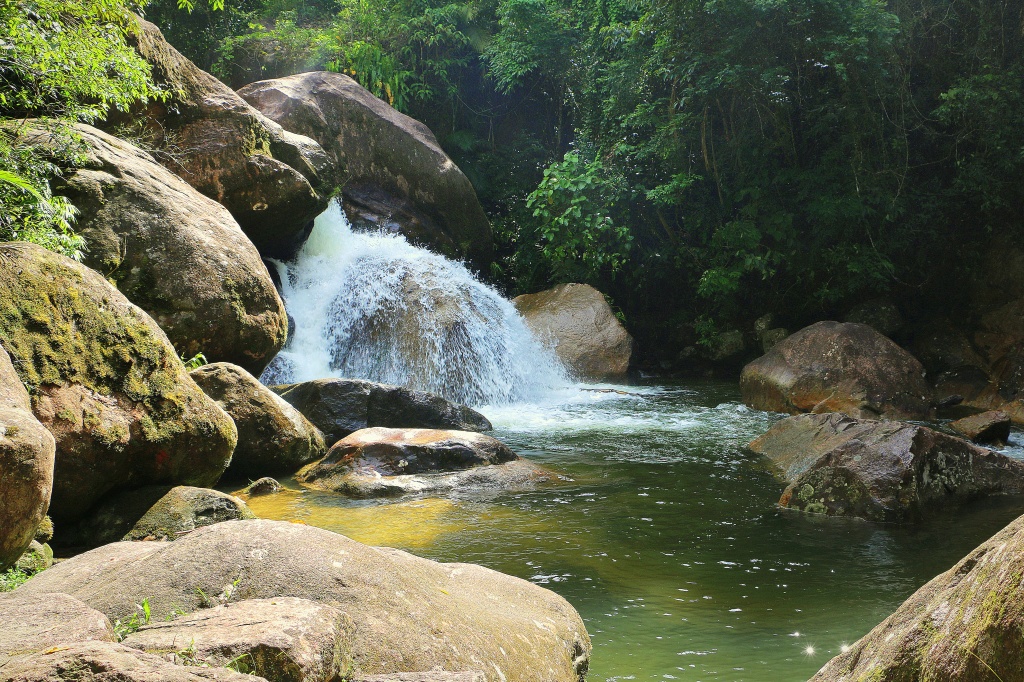 6 parques ecológicos para visitar em São Paulo | Qual Viagem