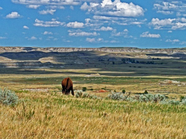 Dakota do Norte: lendária e aventureira | Qual Viagem