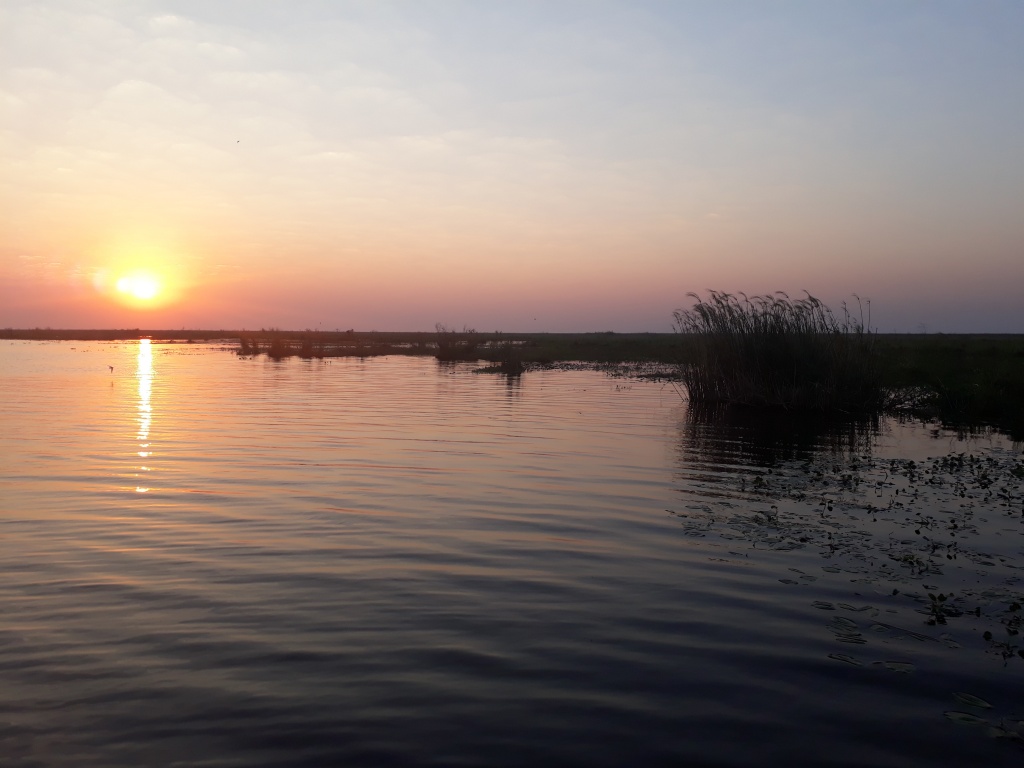 Parque Nacional Iberá é nova atração na Argentina | Qual Viagem
