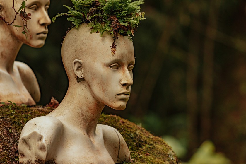 Ekôa Park, em Morretes, oferece diversão na natureza | Qual Viagem