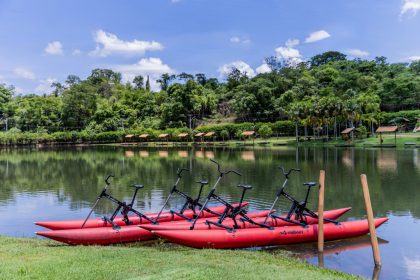 Arca Parque, em Goiás, anuncia novidades | Qual Viagem